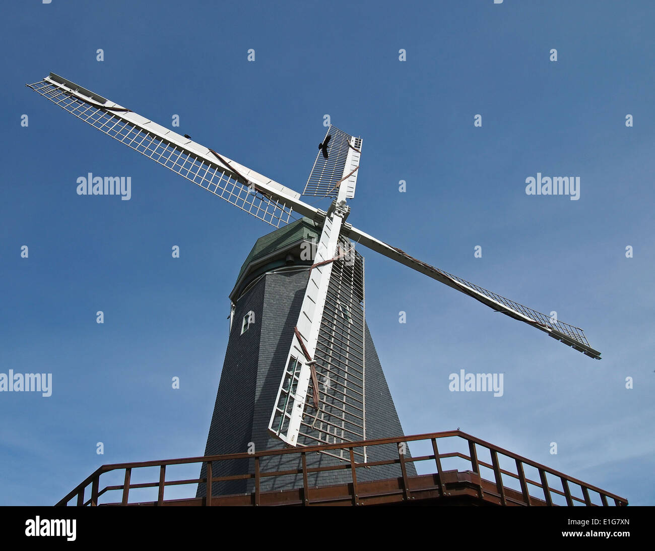 Murphy Windmill, Golden Gate Park San Francisco California USA Stock ...