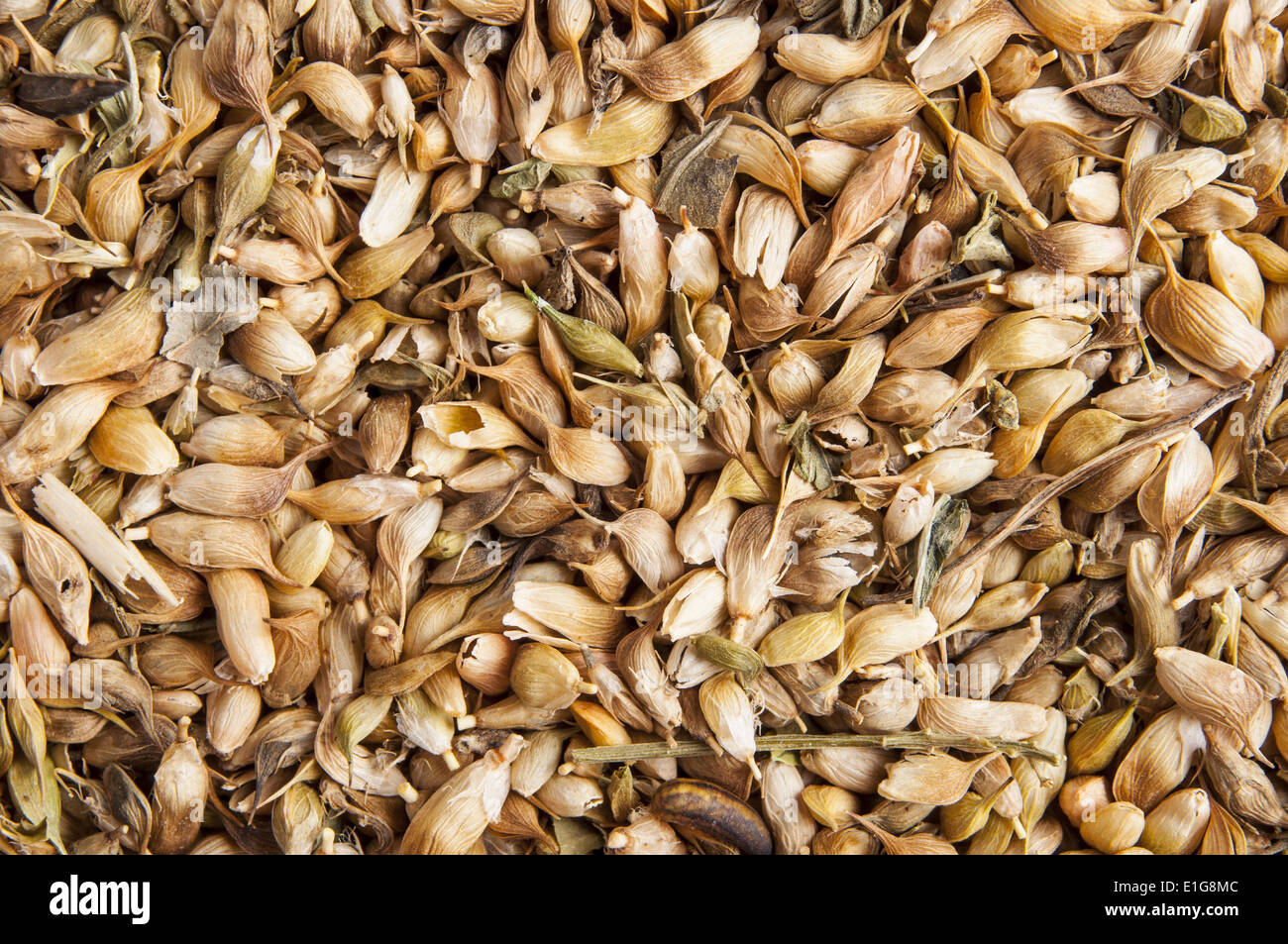 Utsho suneli hi-res stock photography and images - Alamy