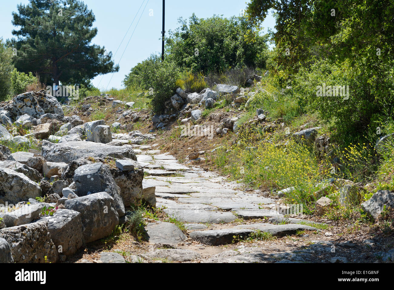 Ancient greek road hi-res stock photography and images - Alamy