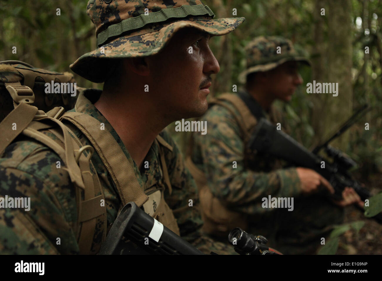 U.S. Marines observe the area during a patrol in Recon Camp, Thailand ...