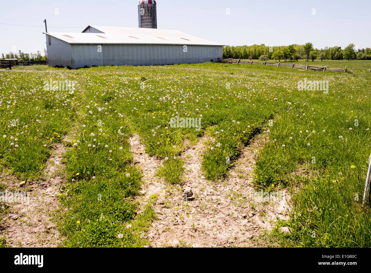Farm outbuildings. Drive shed and concrete silo Stock Photo - Alamy