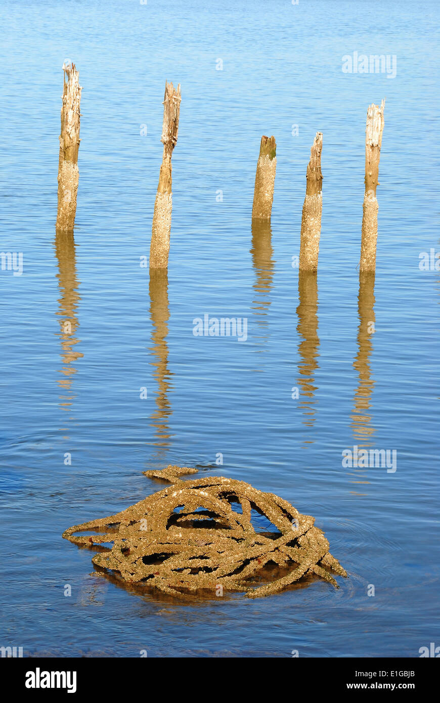 Pool wire cable hi-res stock photography and images - Alamy