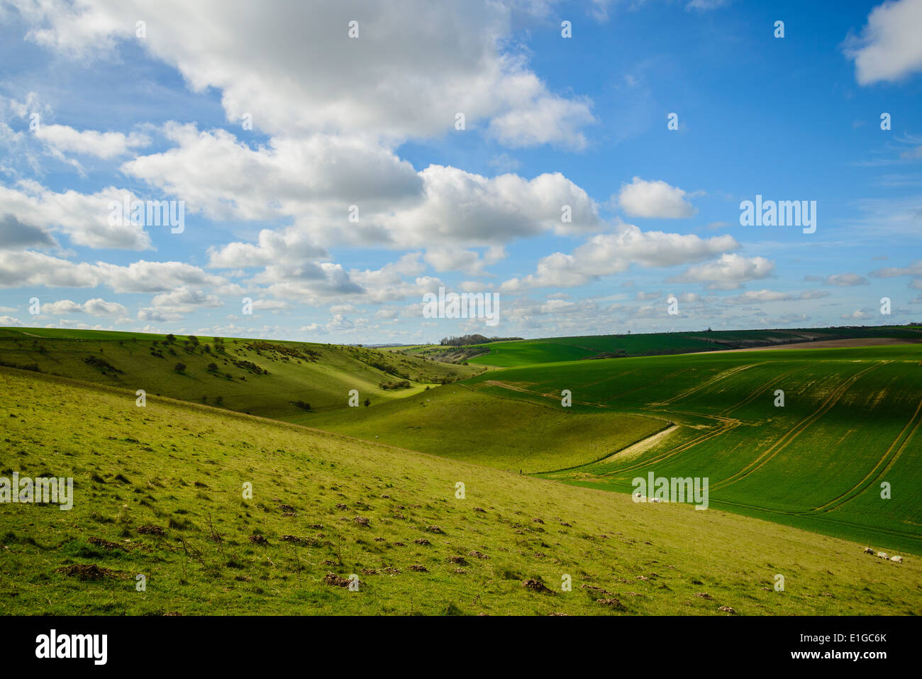Cotton Dale and North Dale in the Yorkshire Wolds; a view from Flixton ...