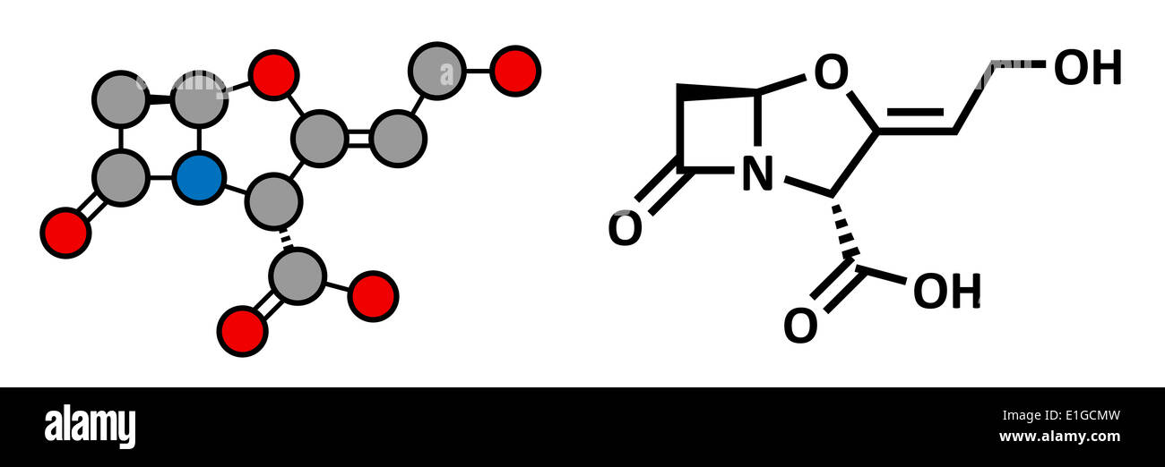 Clavulanic acid beta-lactamase blocker drug, chemical structure. Often ...