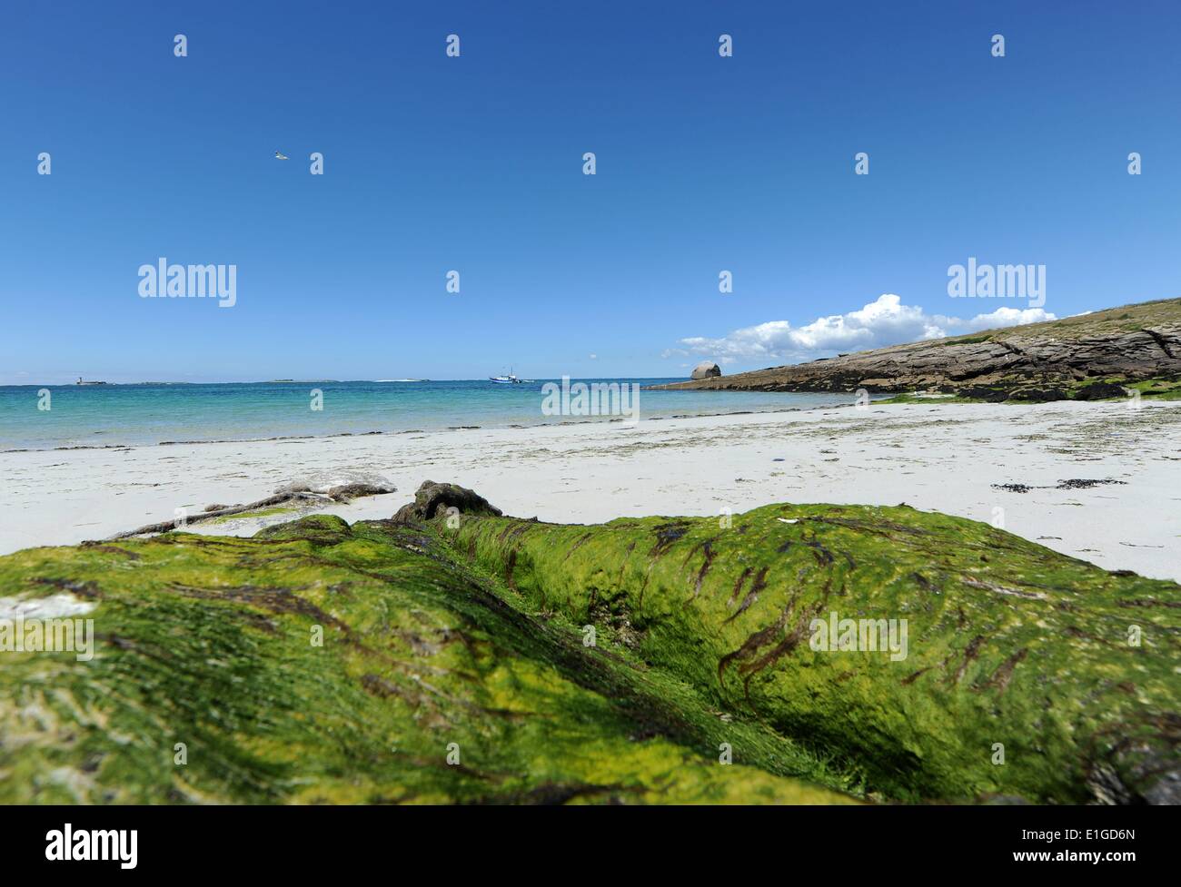 The Glénan islands (French: Îles des Glénan or Archipel des Glénan ...