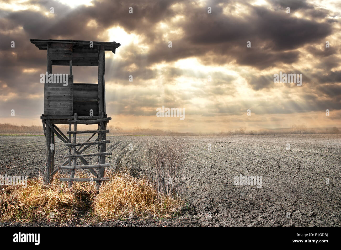 Wooden bird observation tower hi-res stock photography and images - Alamy