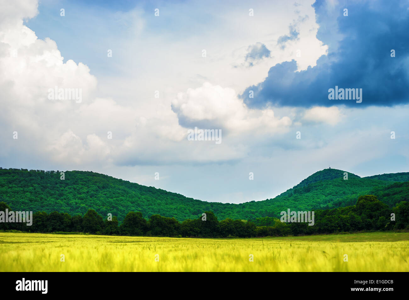 Buda hills hi-res stock photography and images - Alamy
