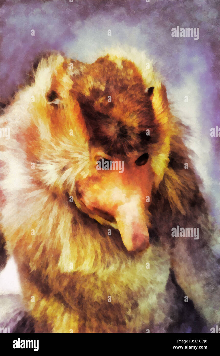 Nosach illustration hi-res stock photography and images - Alamy