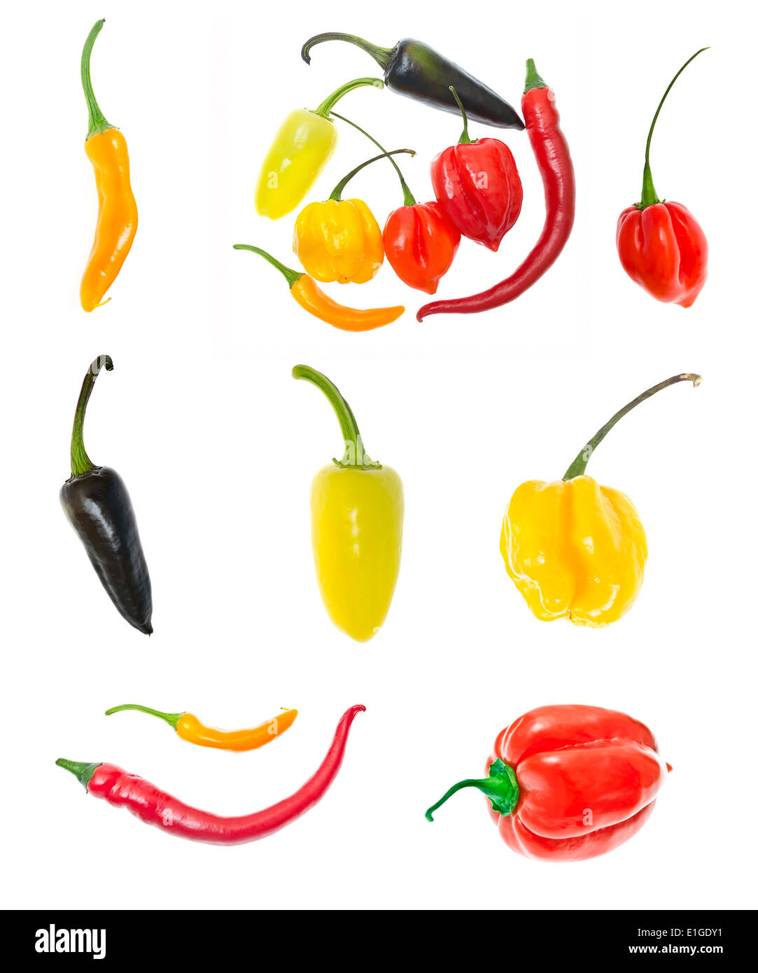 Set of Fresh Colorful Hot Chili Pepper on White Stock Photo - Alamy
