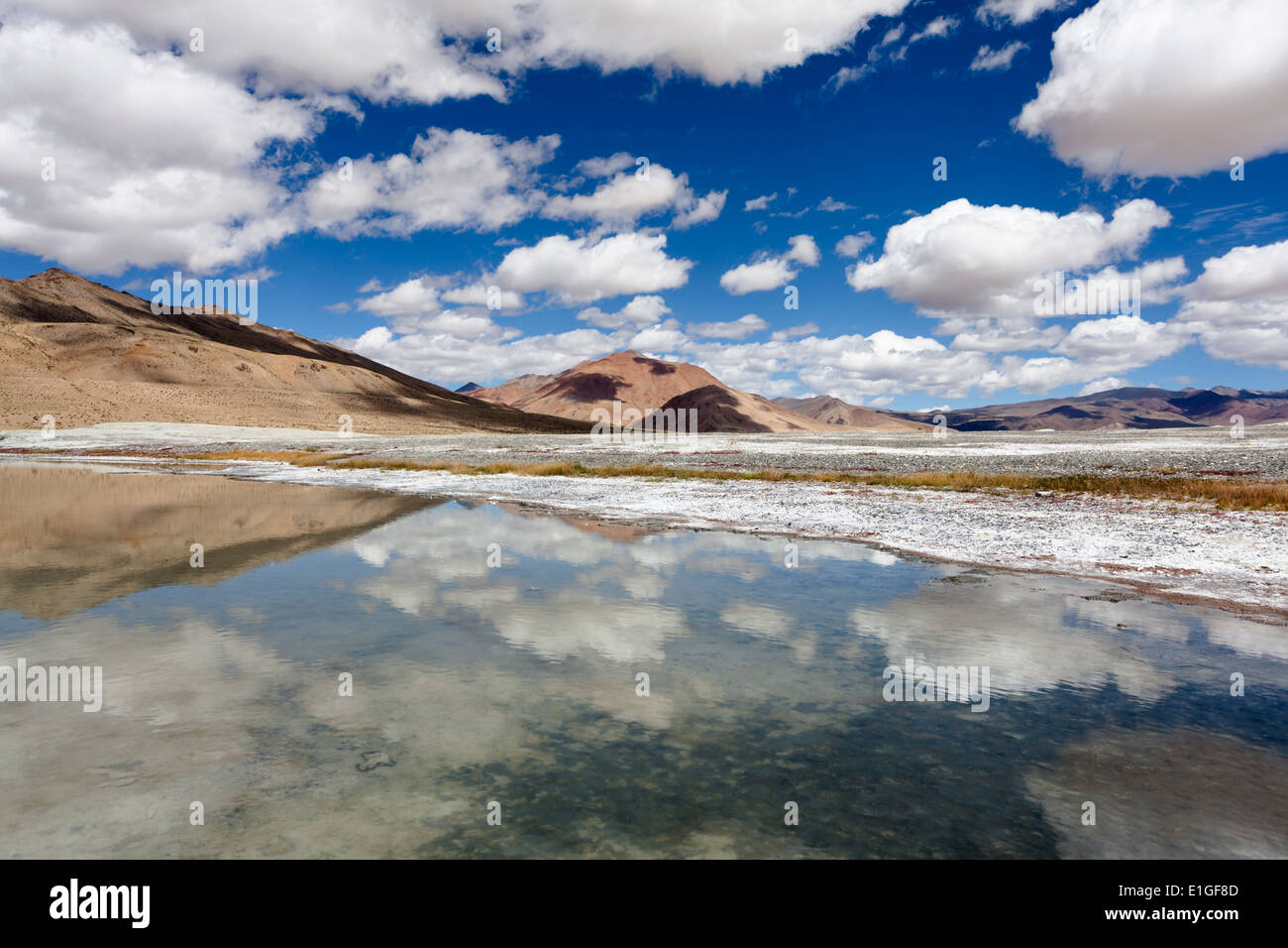 Chang tang tibet hi-res stock photography and images - Alamy