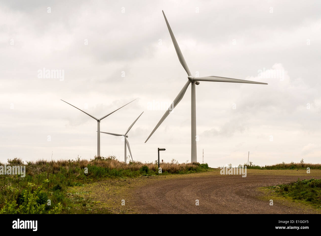 Wind Turbines at the Whitelee Wind Farm, Eaglesham, Scotland Stock ...