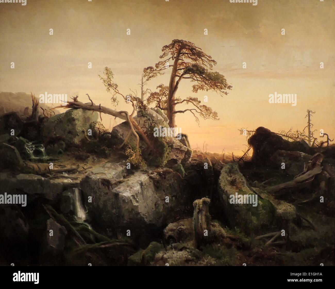 Decaying Forest (unfinished), 1852, by August Cappelen (1827-1852) oil ...