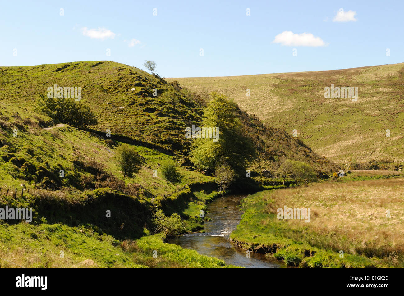 Flexbarrow and river Barle Simonsbath Two Moors Way Exmoor national ...