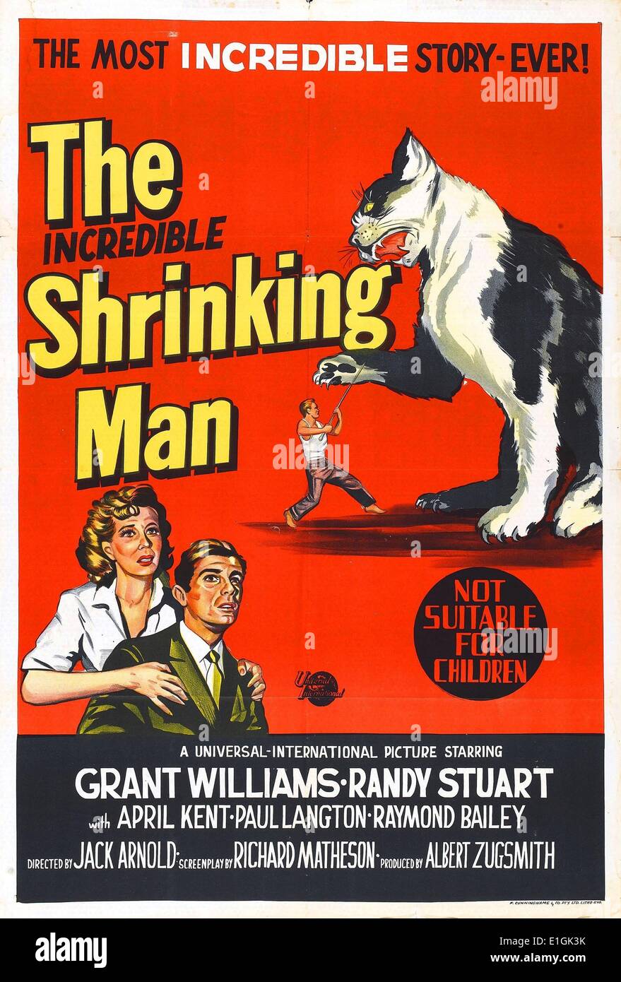 Incredible Shrinking Man Remake