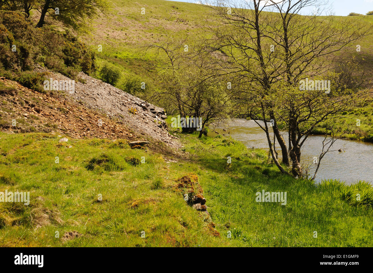 Remains of 19th century copper mine near river Barle Simonsbath Exmoor ...
