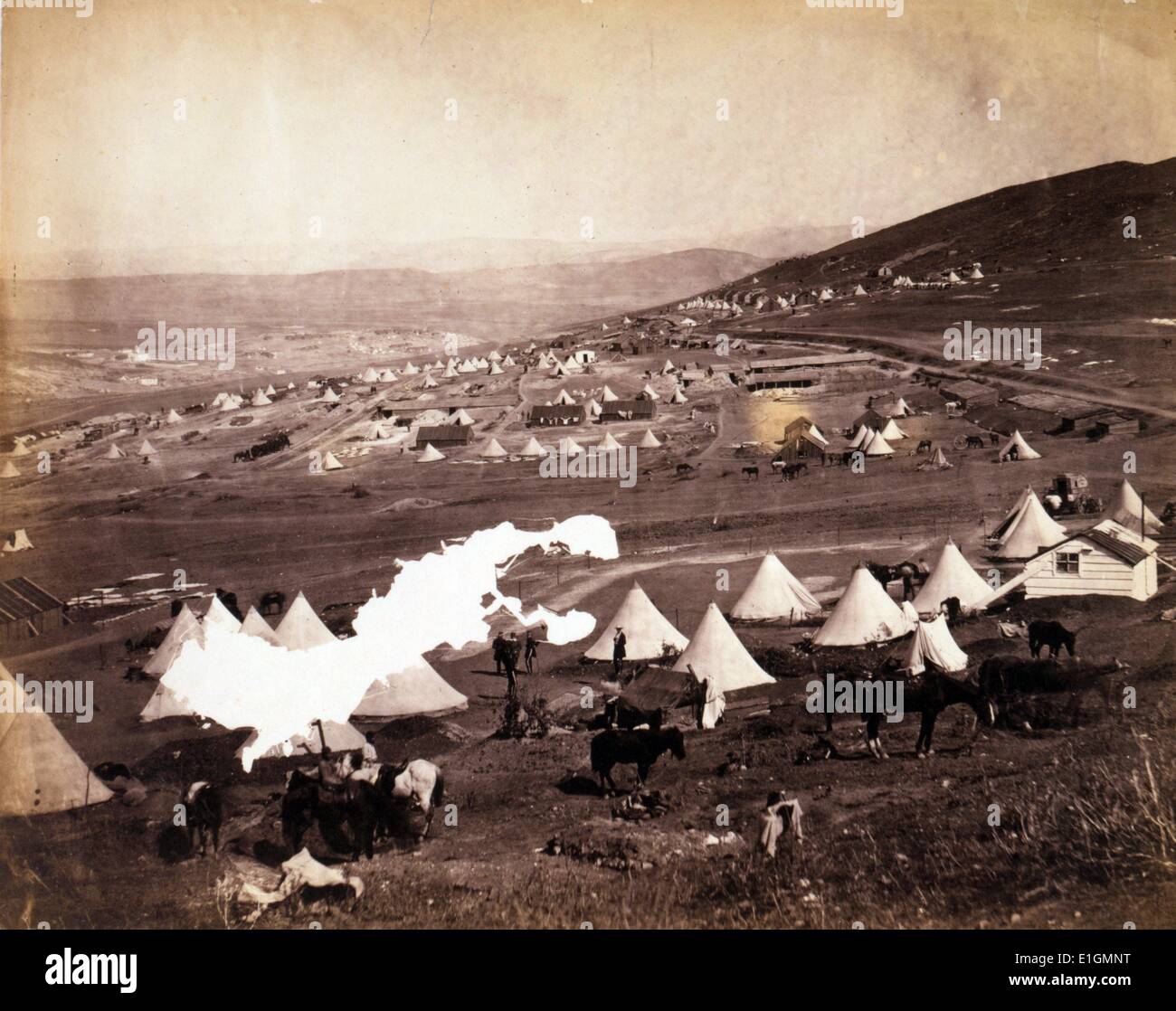 Photograph of a British military camp on hillside in te Crimea ...