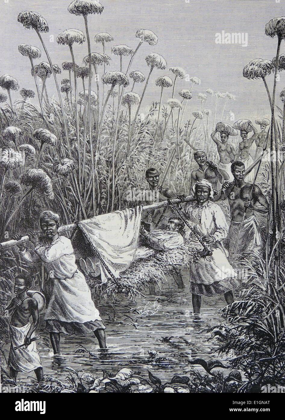 David Livingstone (1813-1873), Scottish missionary doctor and explorer ...