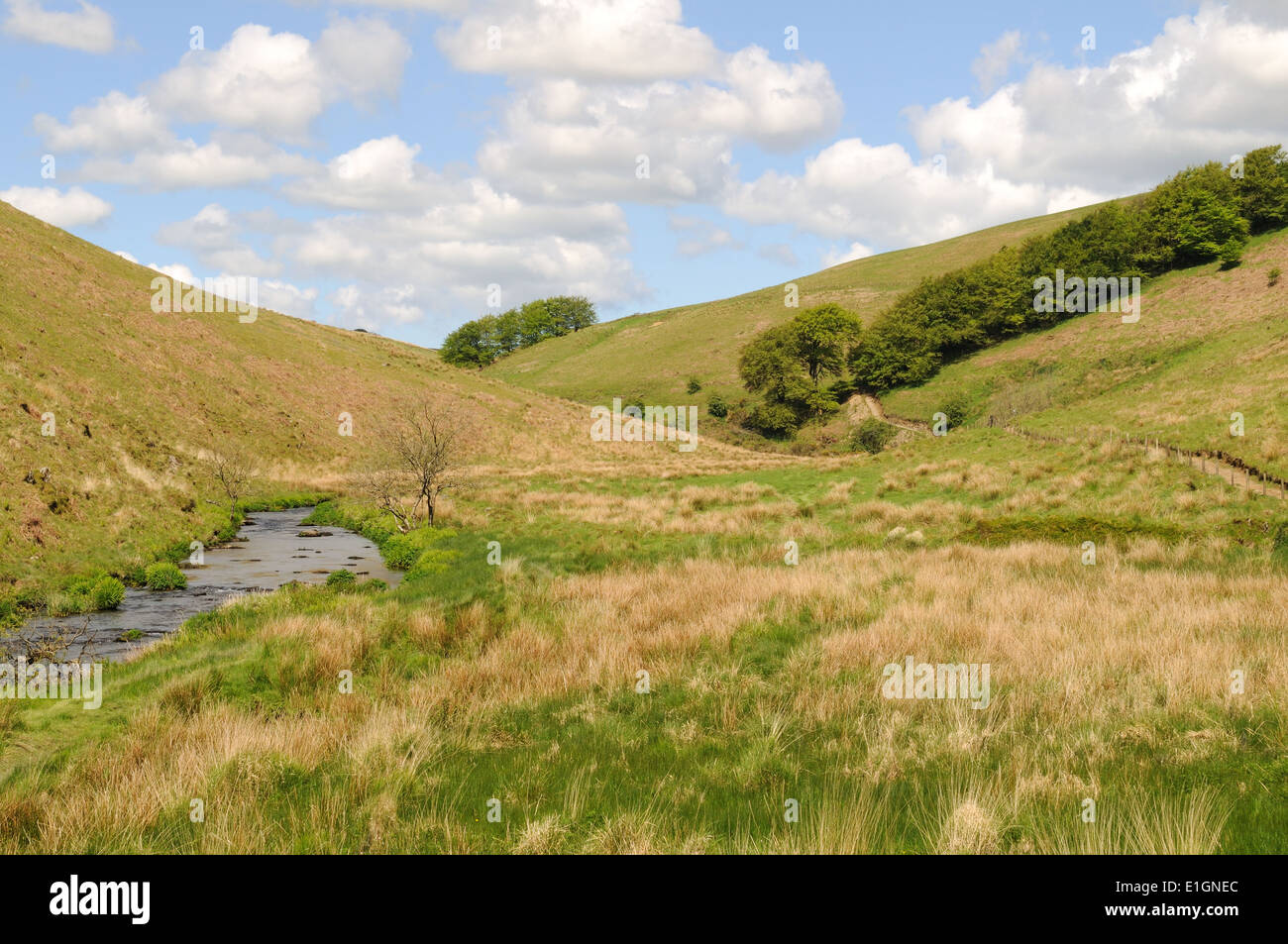The River Barle flowing through Exmoor Valley Simonsbath in spring ...