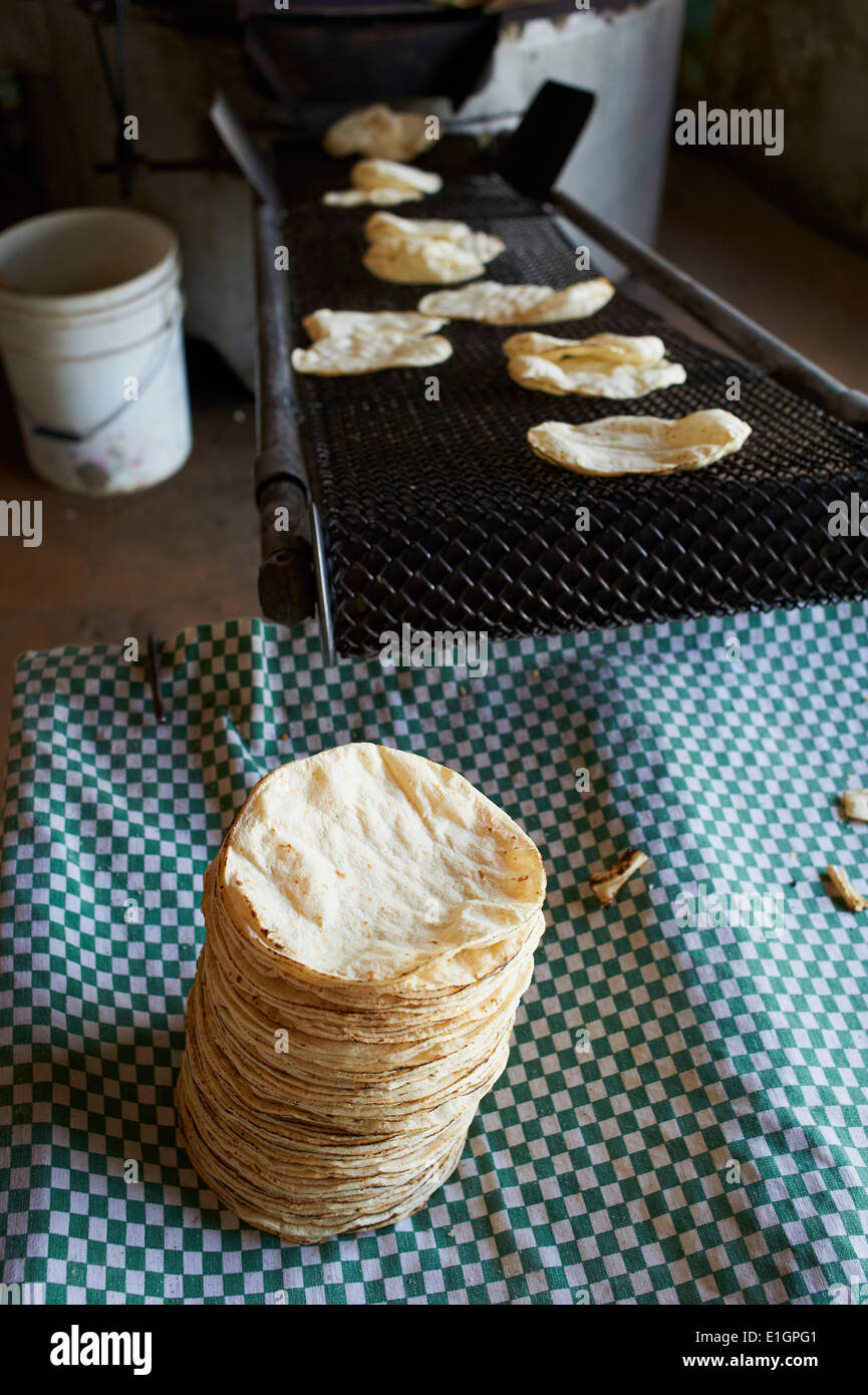 Mexico, Yucatan state, Merida, the capital of Yucatan, tacos factory ...