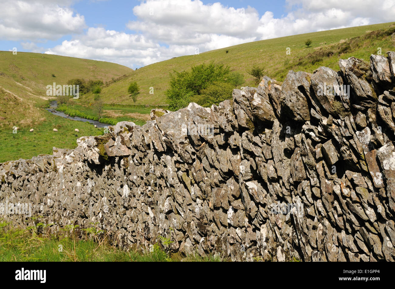 Devon dry stone walls hi-res stock photography and images - Alamy