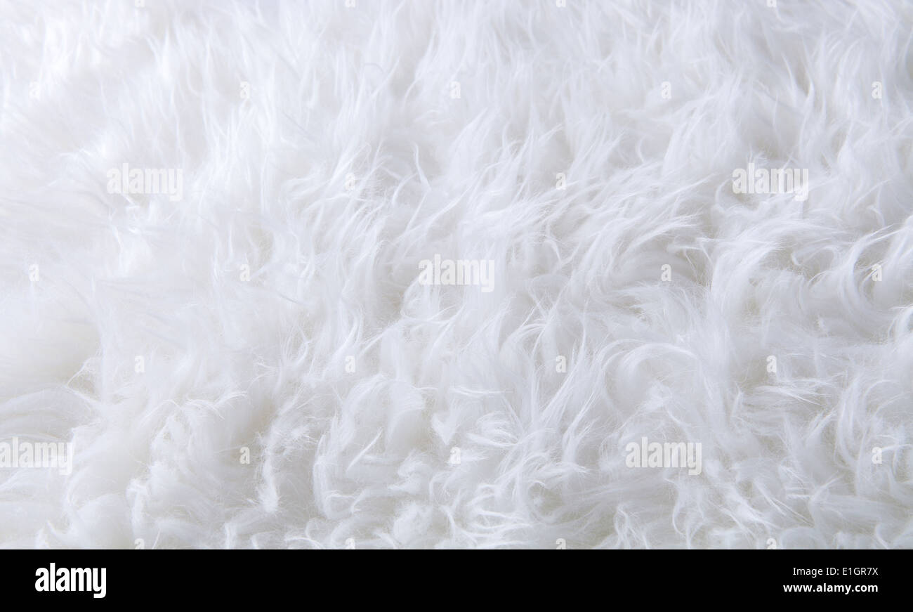 close up texture of fur carpet for background Stock Photo - Alamy