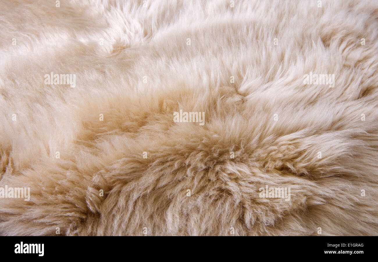 Close up texture hi-res stock photography and images - Alamy