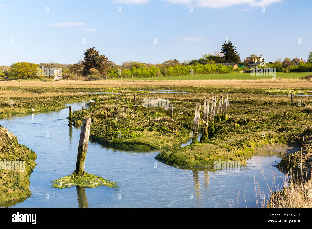 The Estuary at Newtown Harbour National Nature Reserve Isle Of Wight ...
