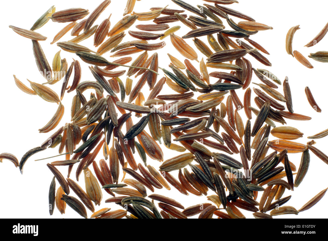 Caraway seed hi-res stock photography and images - Alamy