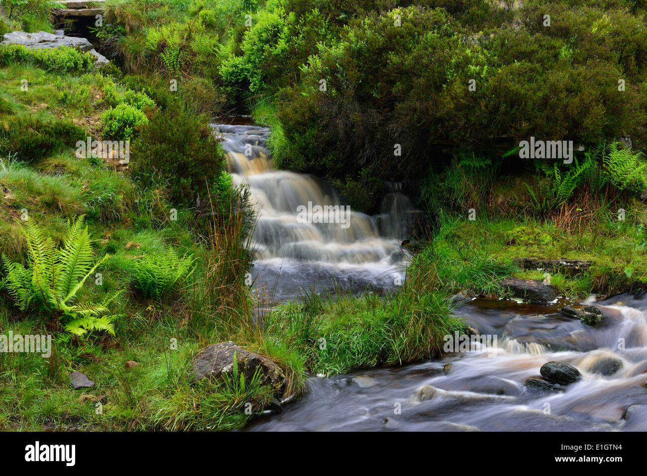 The Bronte waterfall near Haworth West Yorkshire England UK Stock Photo ...