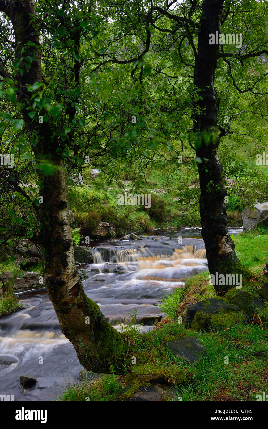 The Bronte waterfall near Haworth West Yorkshire England UK Stock Photo ...