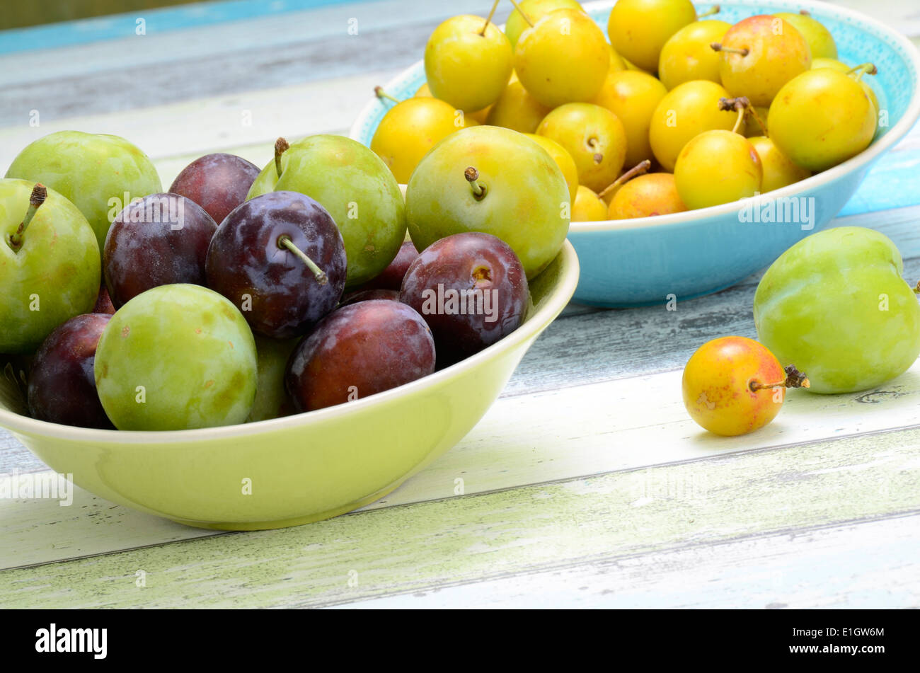 Bowls full of various plums Stock Photo - Alamy