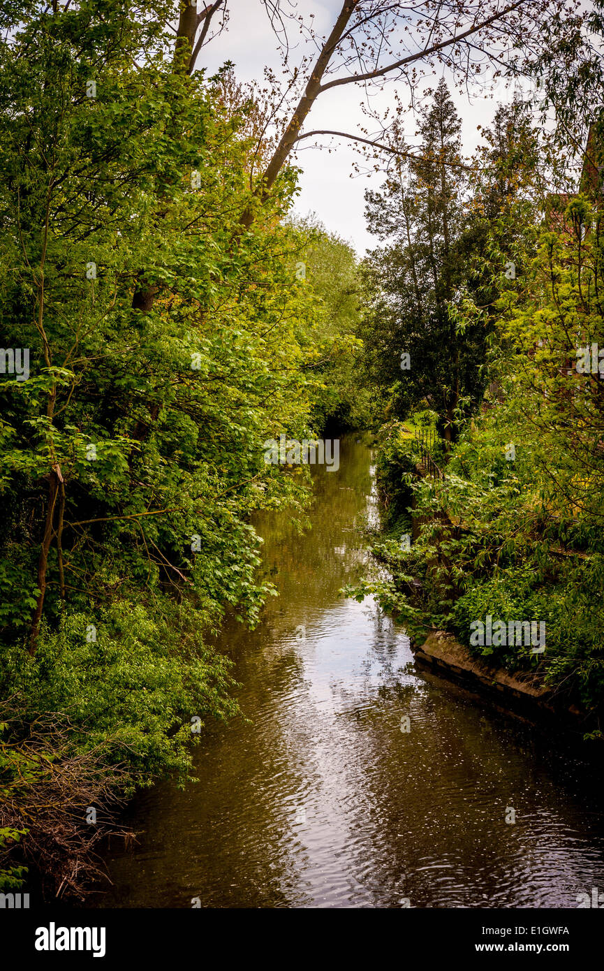 Cod Beck, Thirsk Stock Photo - Alamy