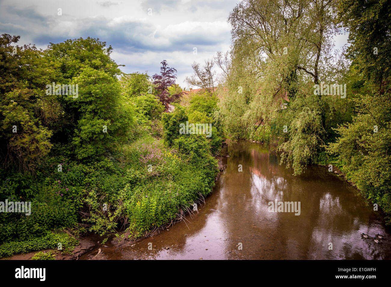 Cod Beck, Thirsk Stock Photo - Alamy