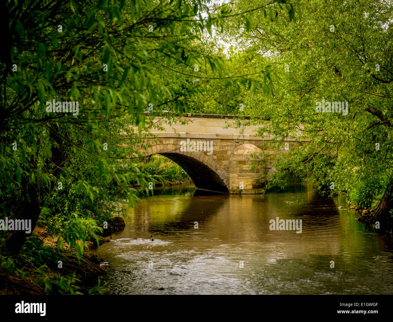 Cod Beck, Thirsk Stock Photo - Alamy