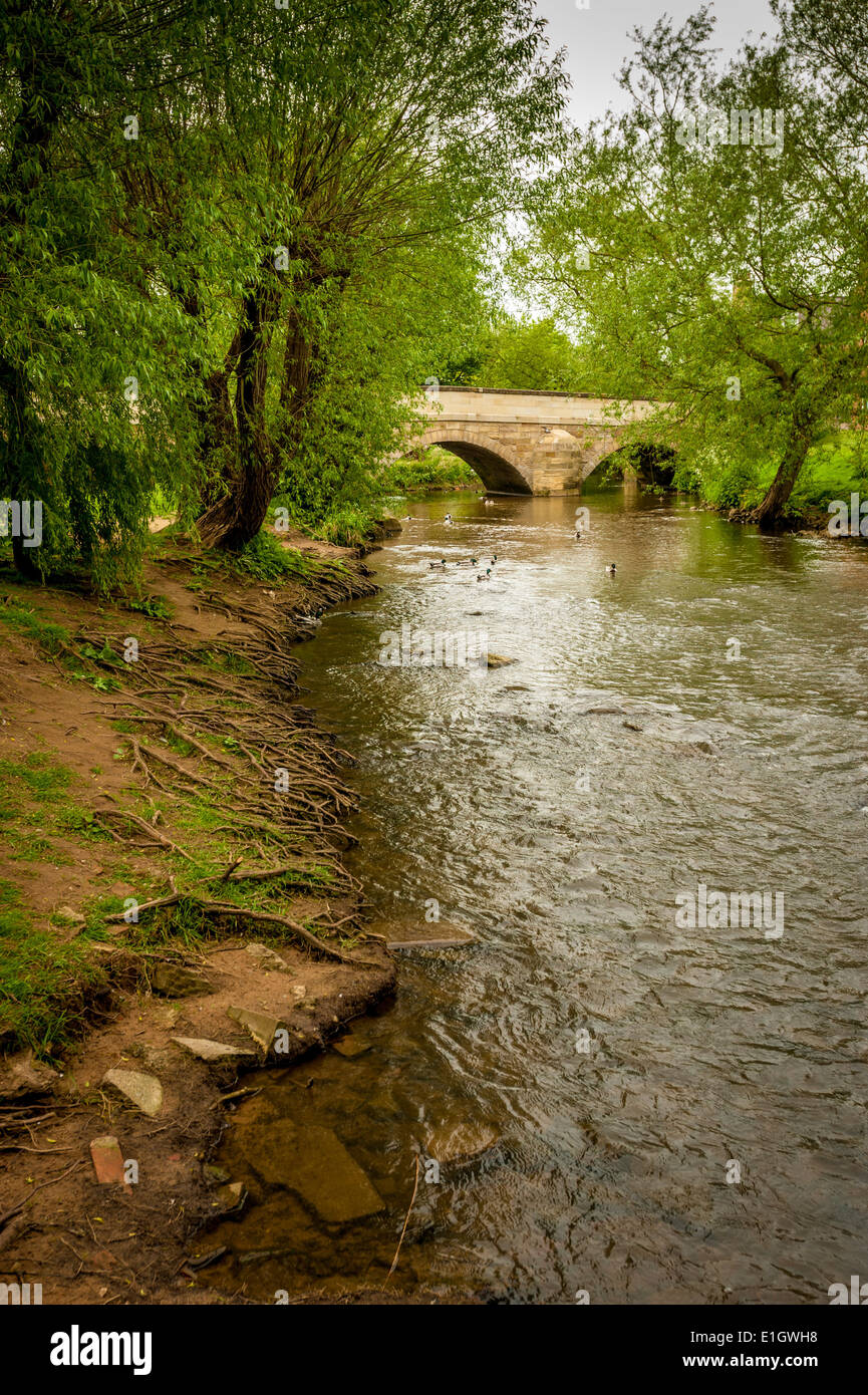 Cod Beck, Thirsk Stock Photo - Alamy