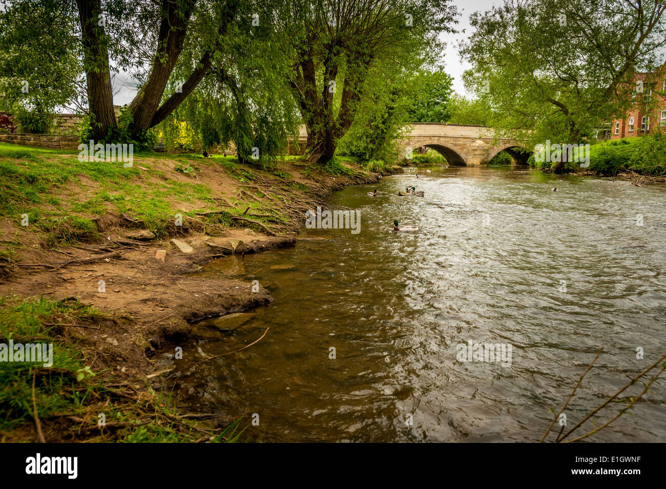 Cod Beck, Thirsk Stock Photo - Alamy