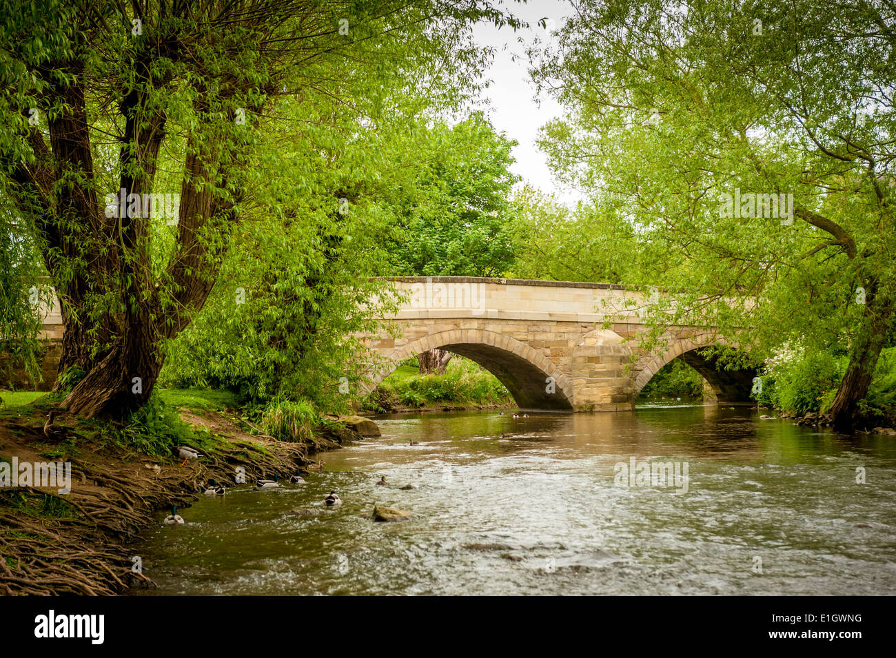 Cod Beck, Thirsk Stock Photo - Alamy