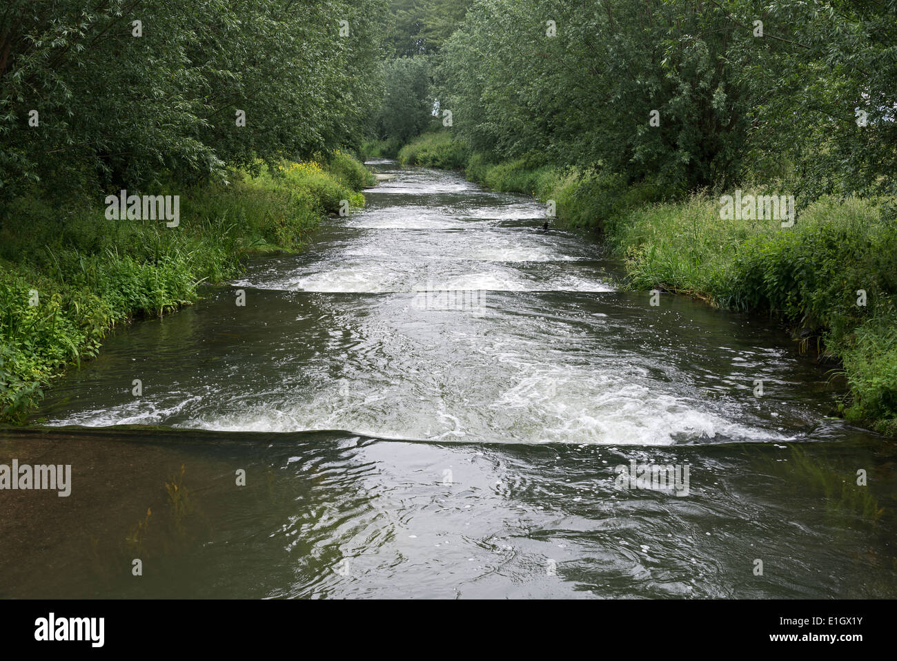 waterfall in holland from the river maas with green nature forest Stock ...