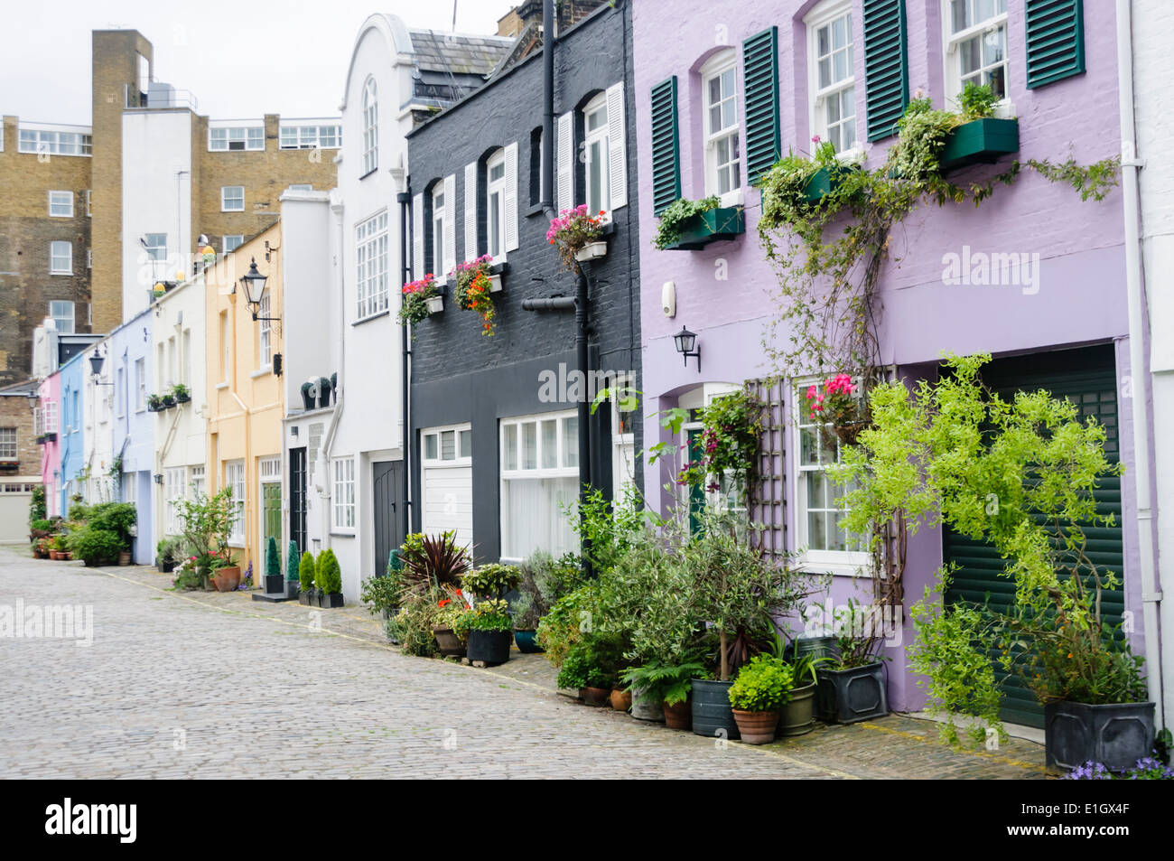 London mews house hi-res stock photography and images - Alamy