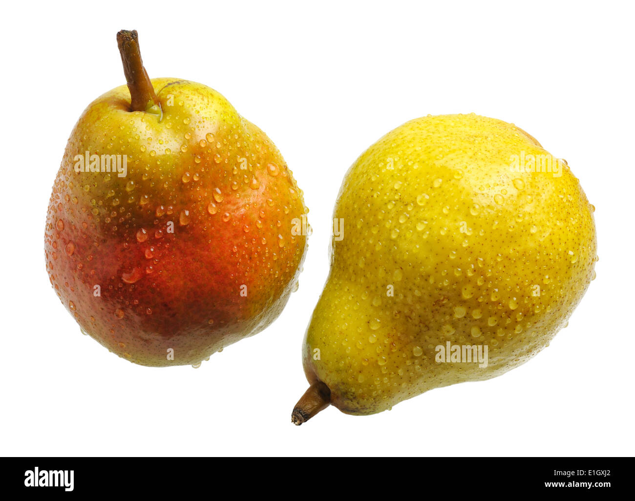 Big juicy yellow red pears, isolated Stock Photo - Alamy Big juicy yellow red pears, isolated Stock Photo - Alamy