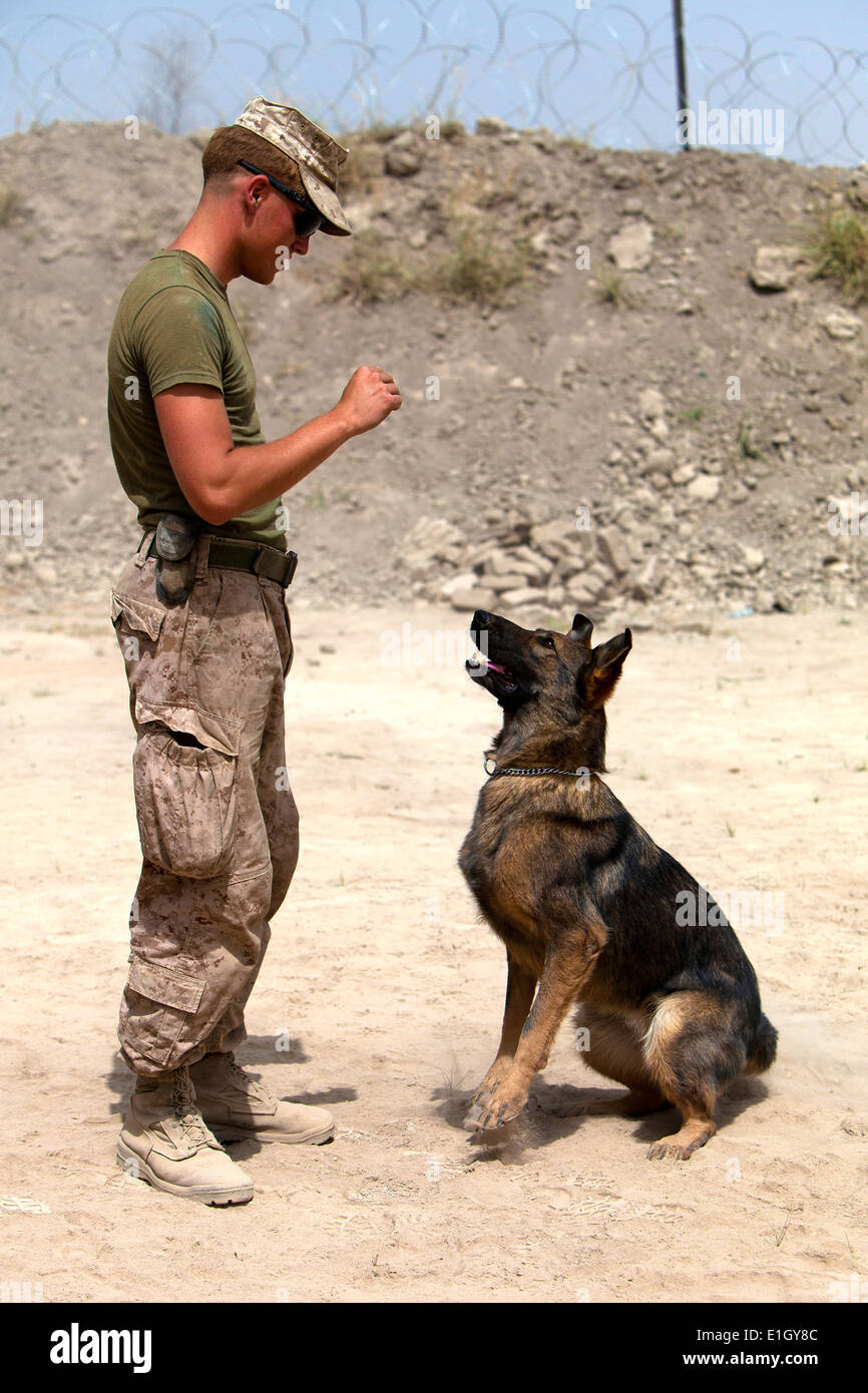 U.S. Marine Corps Lance Cpl. Jeremy Vanhoose, a canine handler with the ...