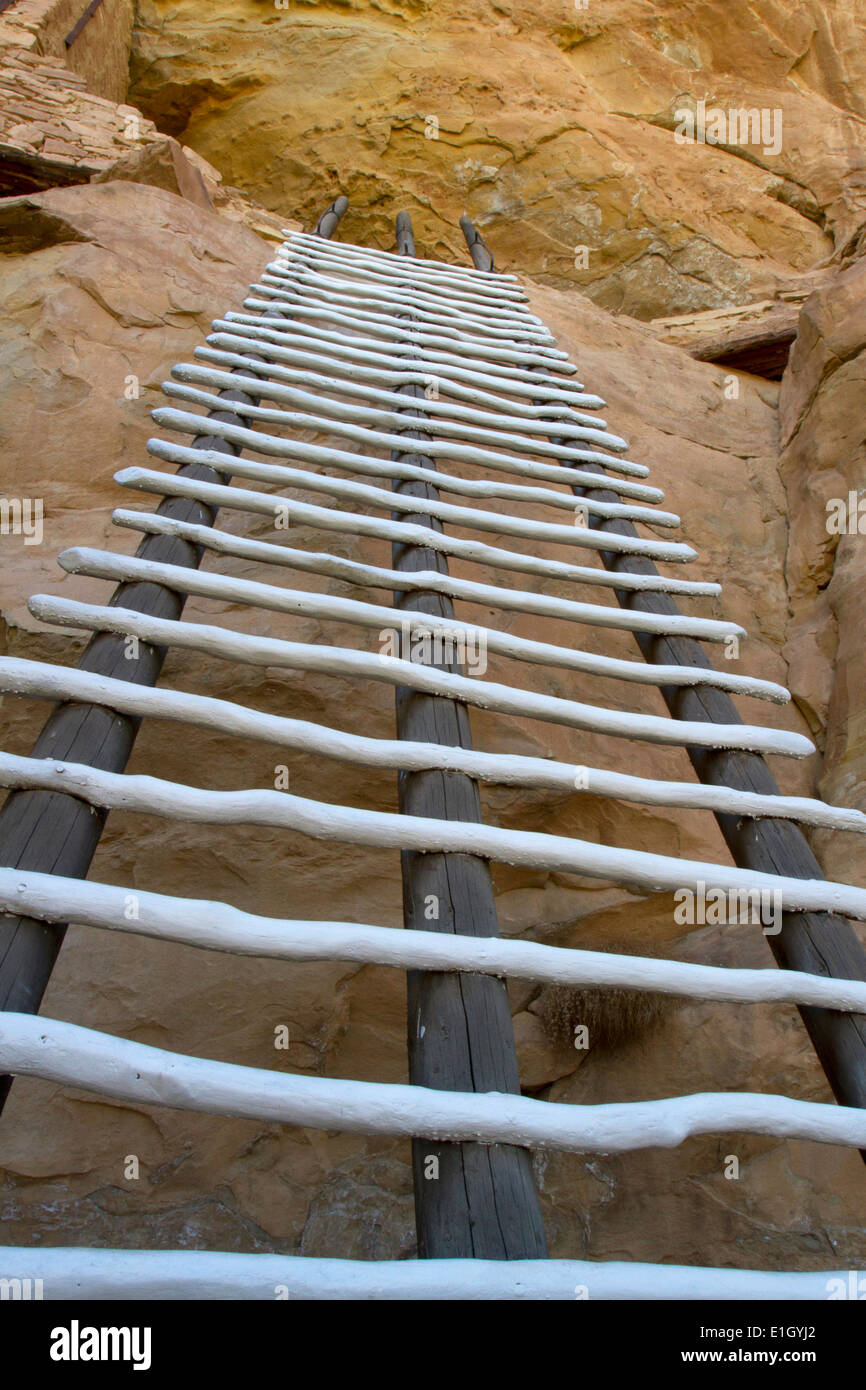 Wooden rock ladder hi-res stock photography and images - Alamy