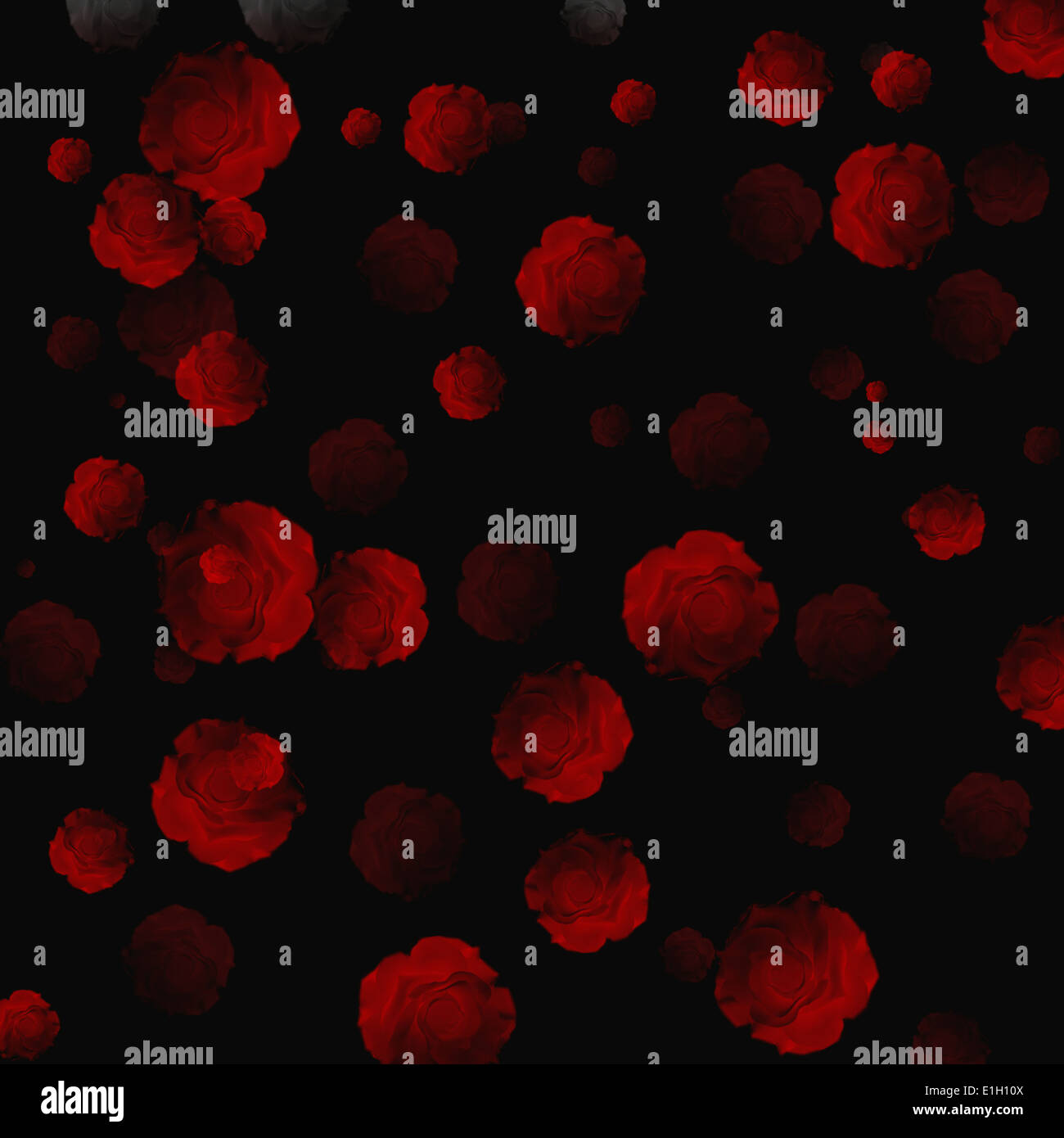 Abstract red rose on a black background Stock Photo - Alamy