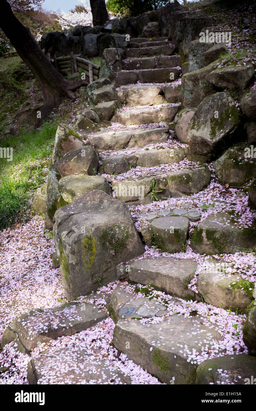 Japanese staircase hi-res stock photography and images - Alamy
