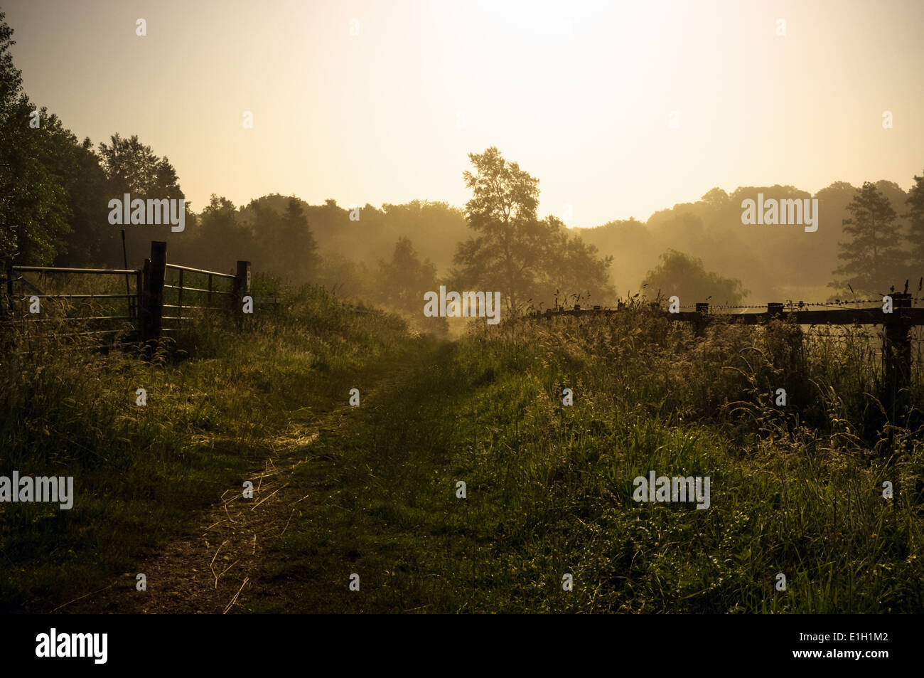 Sunrise on an Oxford country path through meadows Stock Photo - Alamy