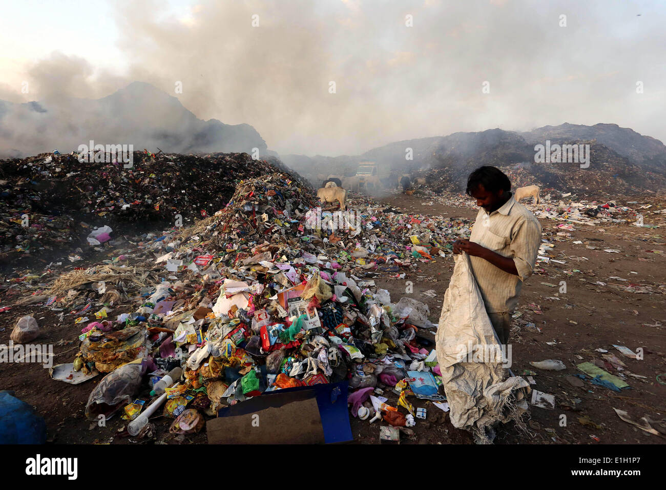 Rag picker india hi-res stock photography and images - Alamy