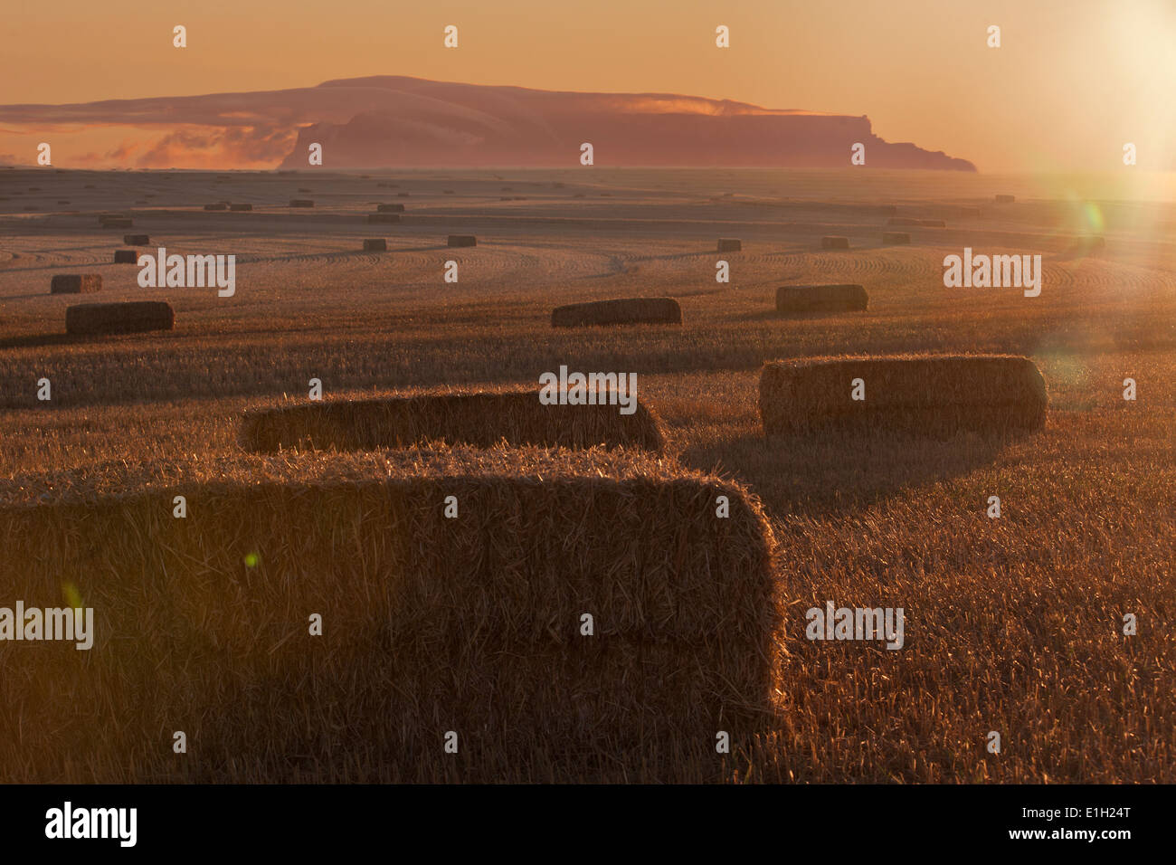 Haystacks in the sun hi-res stock photography and images - Alamy