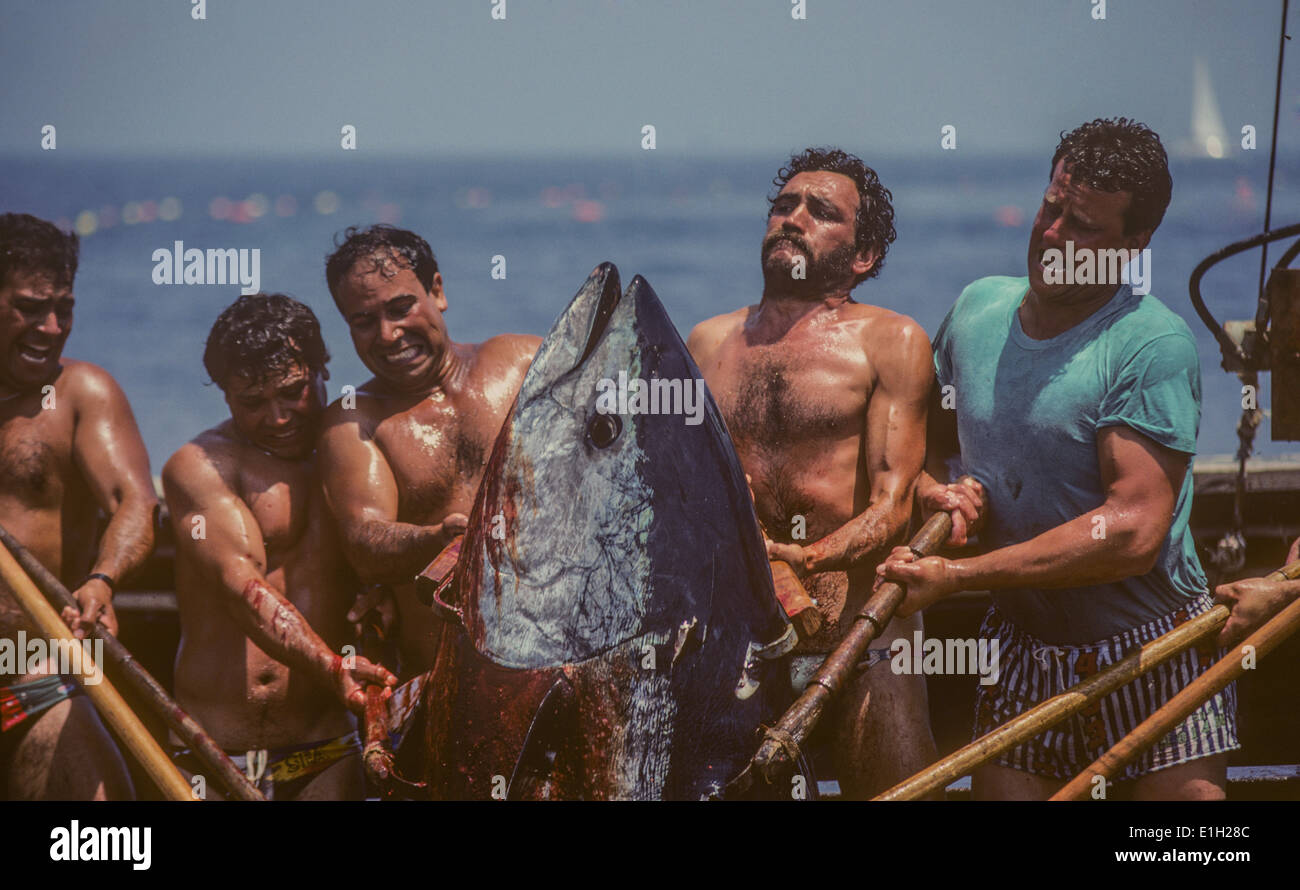 Blue speedos hi-res stock photography and images - Alamy