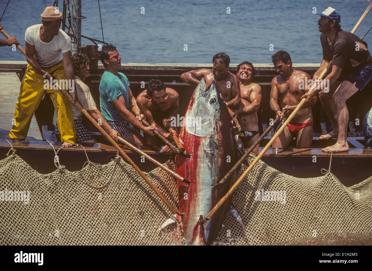 Ultima Mattanza Favignana Sicily