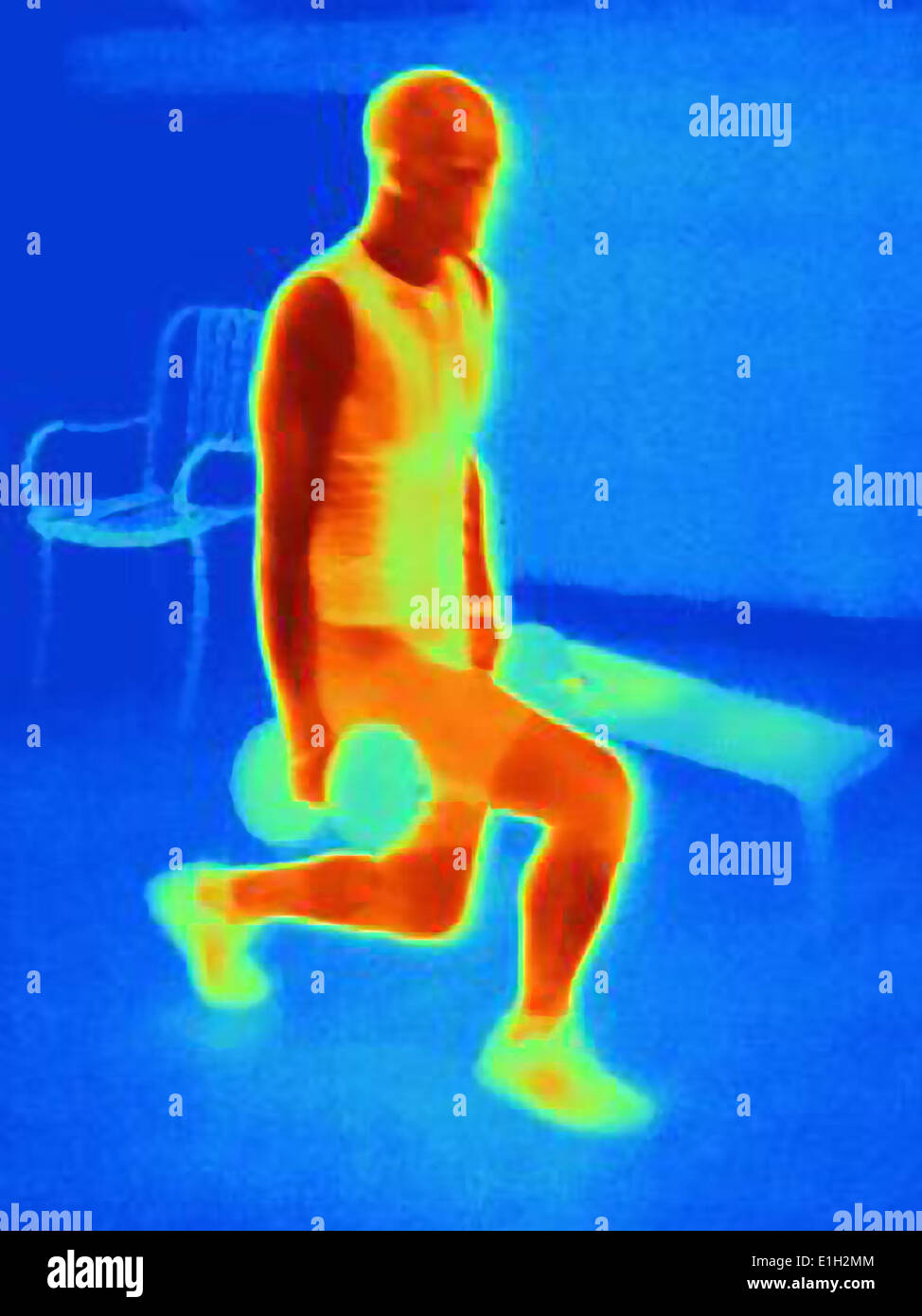 Thermal image of young man training with barbells. The image shows the ...